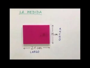 El Tamaño Ideal de Libros Infantiles: Guía Completa | Librería la Tijera