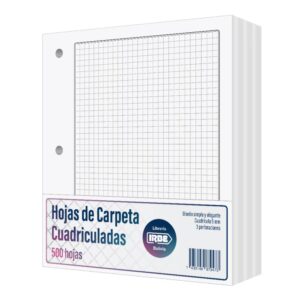 Hojas y Carpetas: Guía Completa de Medidas y Usos | Librería la Tijera