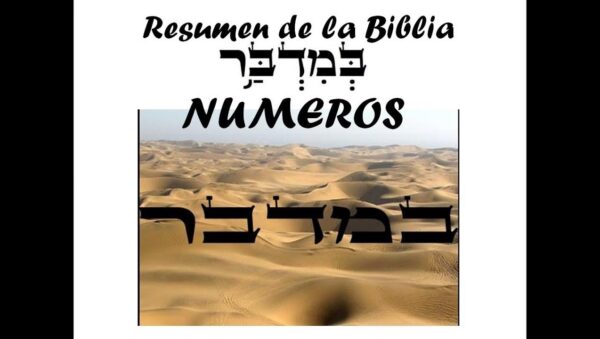 El Libro de Números: Un Viaje de Fe y Revelación Divina | Librería la ...